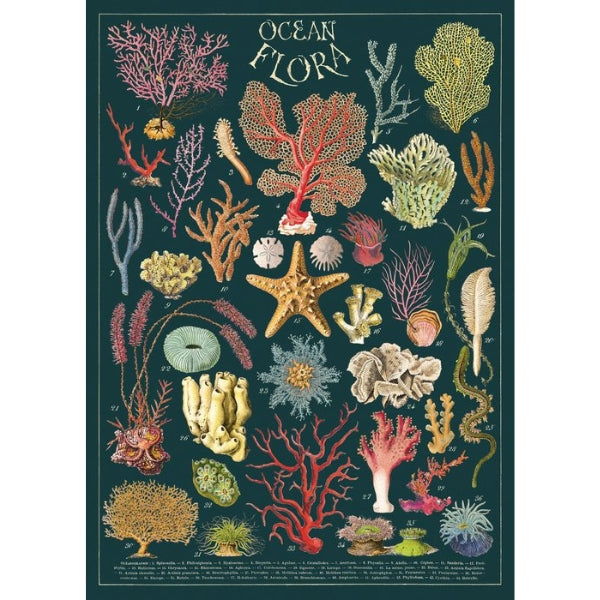 Ocean Flora Vintage Wrap Sheet / Poster | Cavallini | boogie + birdie