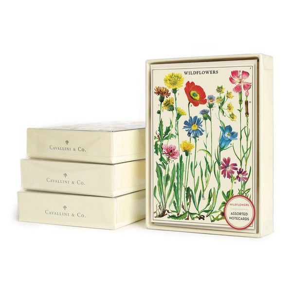 Wildflowers Boxed Note Cards | Cavallini & Co. | boogie + birdie